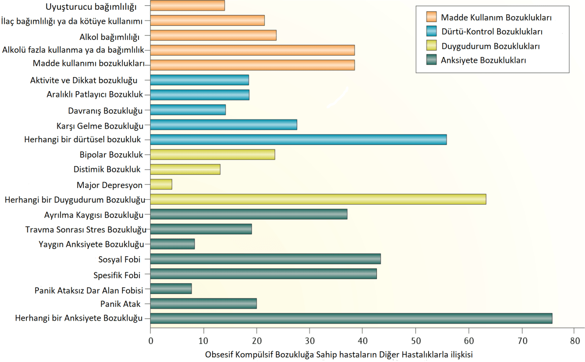 Obsesif Kompulsif Bozukluk (OKB)
