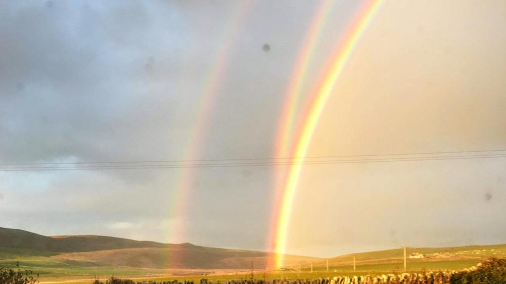 Unveiling the Spectacle of Nature: The Enchanting World of Rainbows