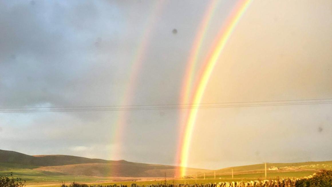 Unveiling the Spectacle of Nature: The Enchanting World of Rainbows