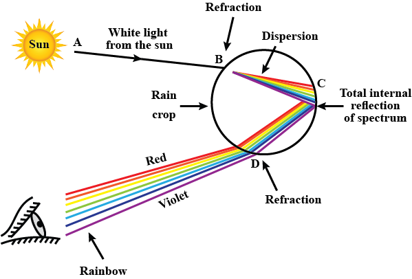 Unveiling the Spectacle of Nature: The Enchanting World of Rainbows