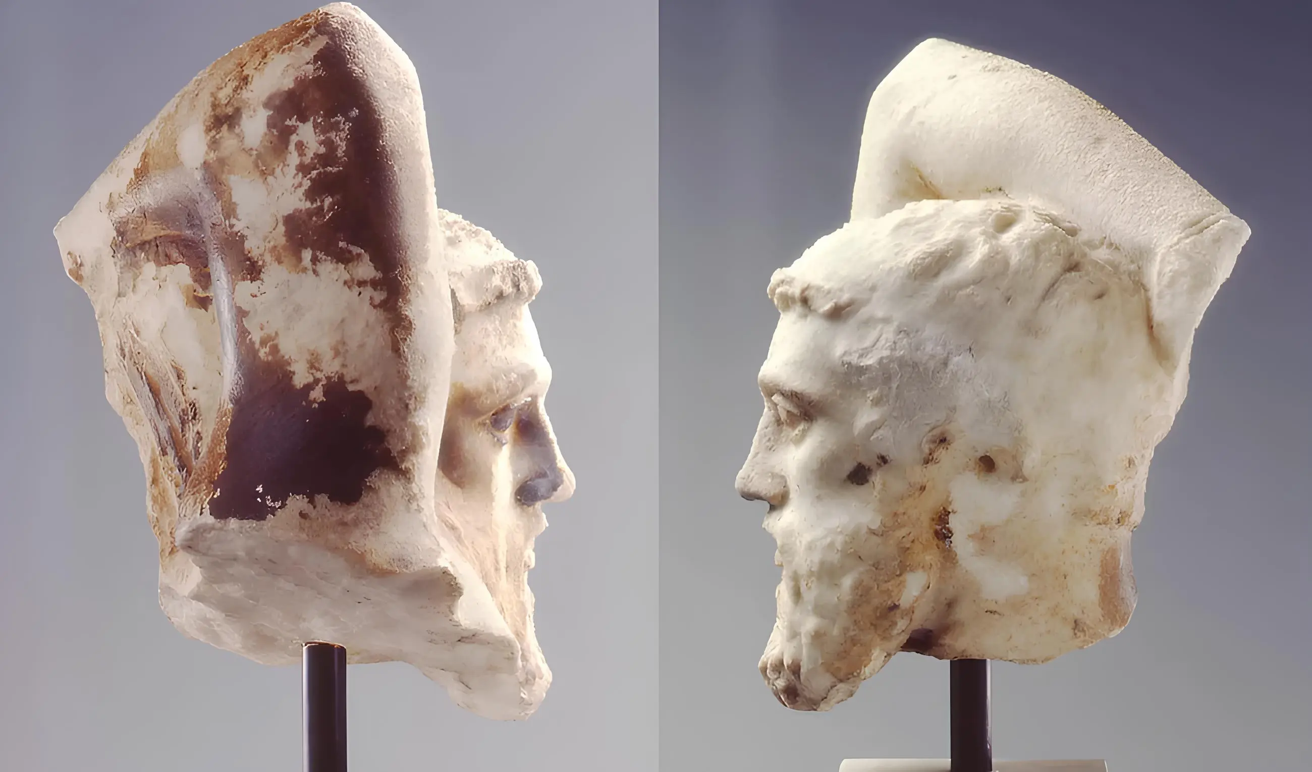 Exploring The Ancient Marble Centaur Head From The Parthenon - PerEXP ...